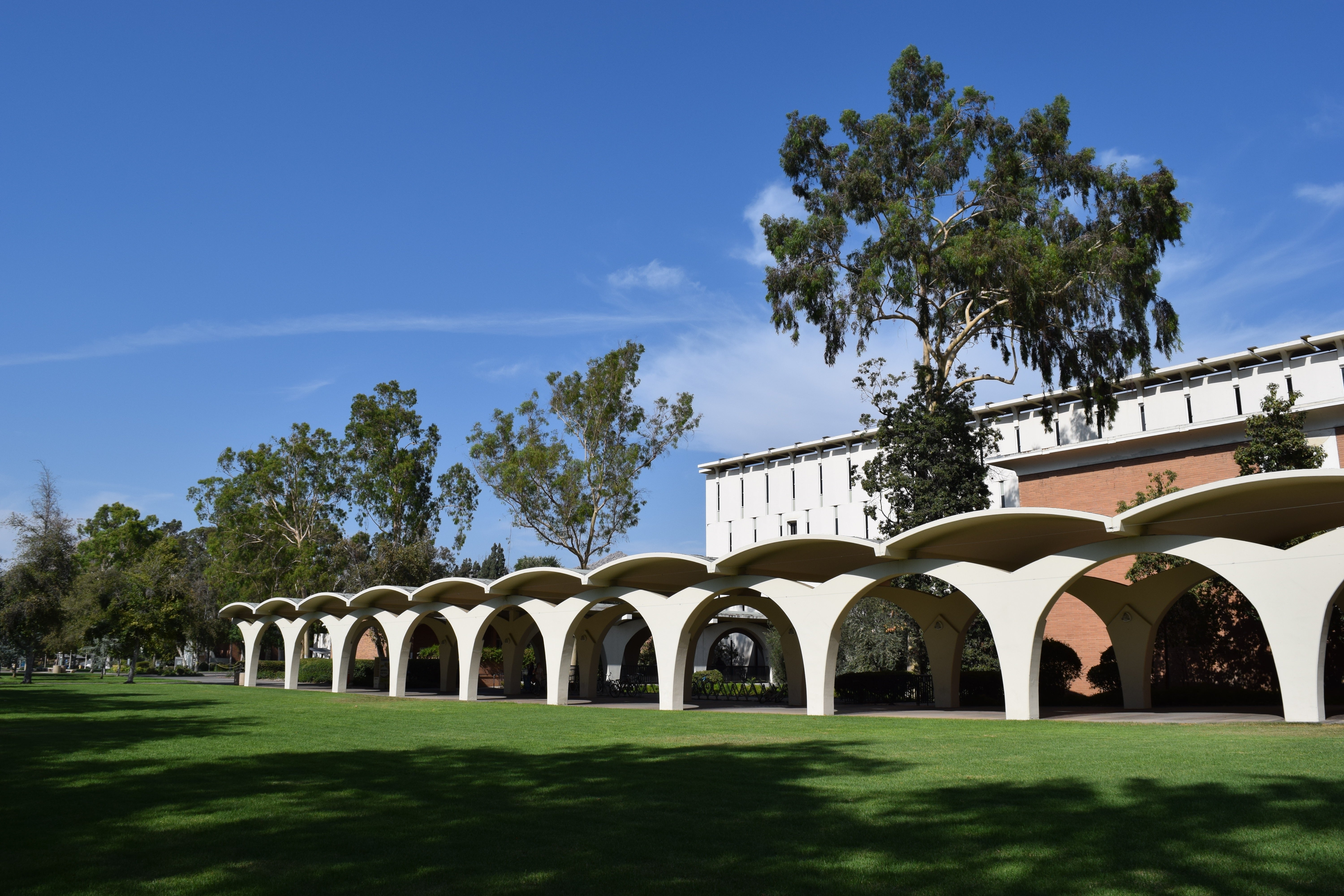 International Scholars Programs and Events | International Affairs